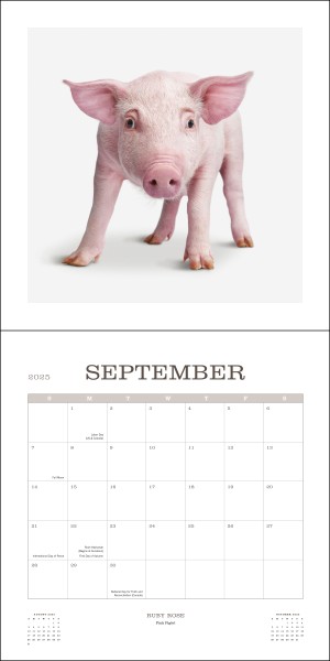 Farm Life 2025 Wall Calendar - Flame Tree Publishing