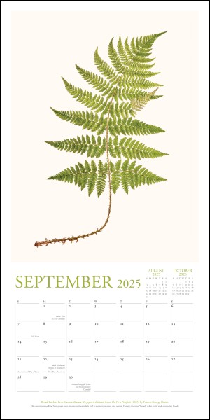 New York Botanical Garden 2025 Wall Calendar - Flame Tree Publishing