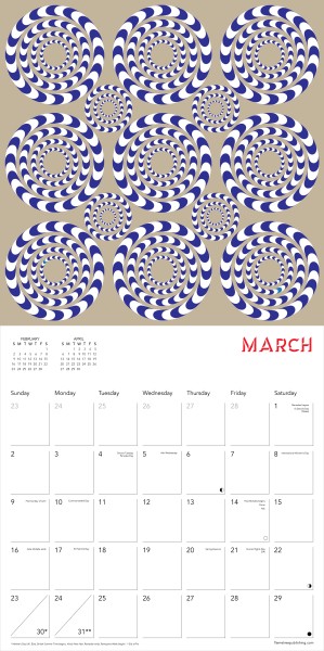 Optical Illusions Wall Calendar 2025 (Art Calendar) - Flame Tree Publishing