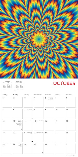 Optical Illusions Wall Calendar 2025 (Art Calendar) - Flame Tree Publishing