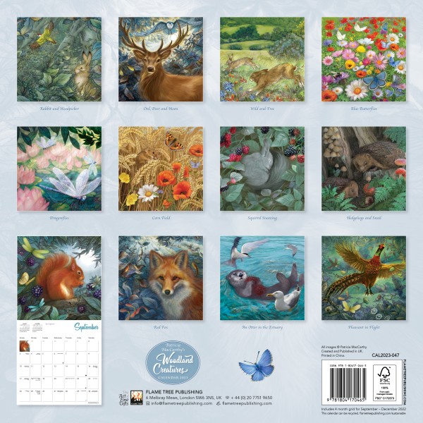 Patricia MacCarthy's Woodland Creatures Wall Calendar 2023 (Art ...