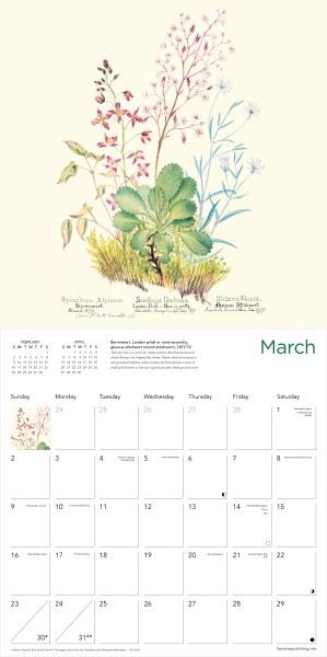 Royal Botanic Garden Edinburgh Wall Calendar 2025 (Art Calendar ...