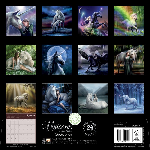 Unicorns by Anne Stokes Wall Calendar 2025 (Art Calendar) - Flame Tree ...